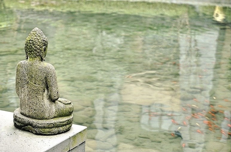 The Price of Freedom - Buddhistdoor Global