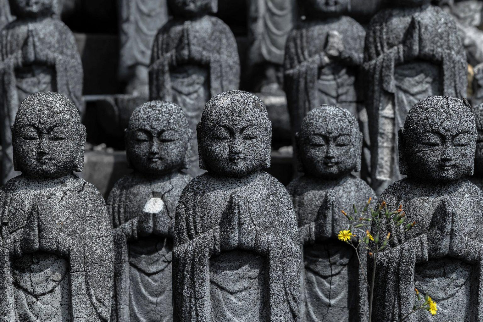 Rebirth and Revolution – Engaged Buddhism in Japan: A Conversation with ...